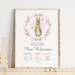 Peter Rabbit Baby Girl Birth Announcement Nursery Print Birth Details ...