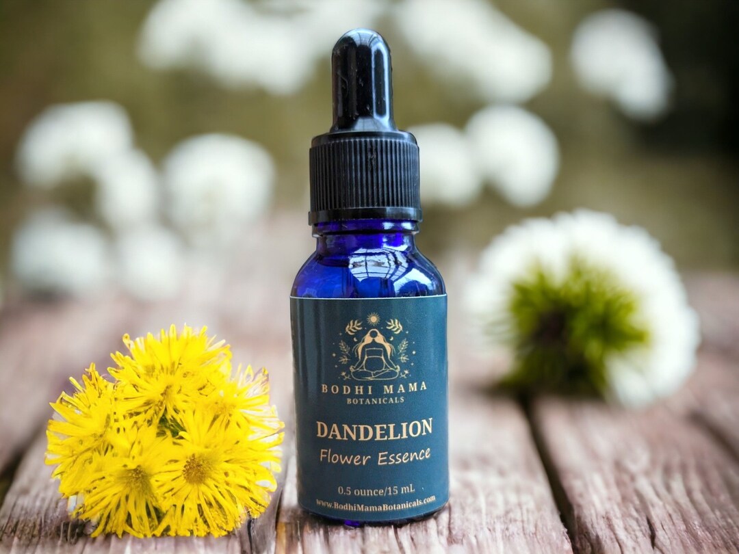 Dandelion Flower Essence Solar Plexus Chakra & Authenticity - Etsy