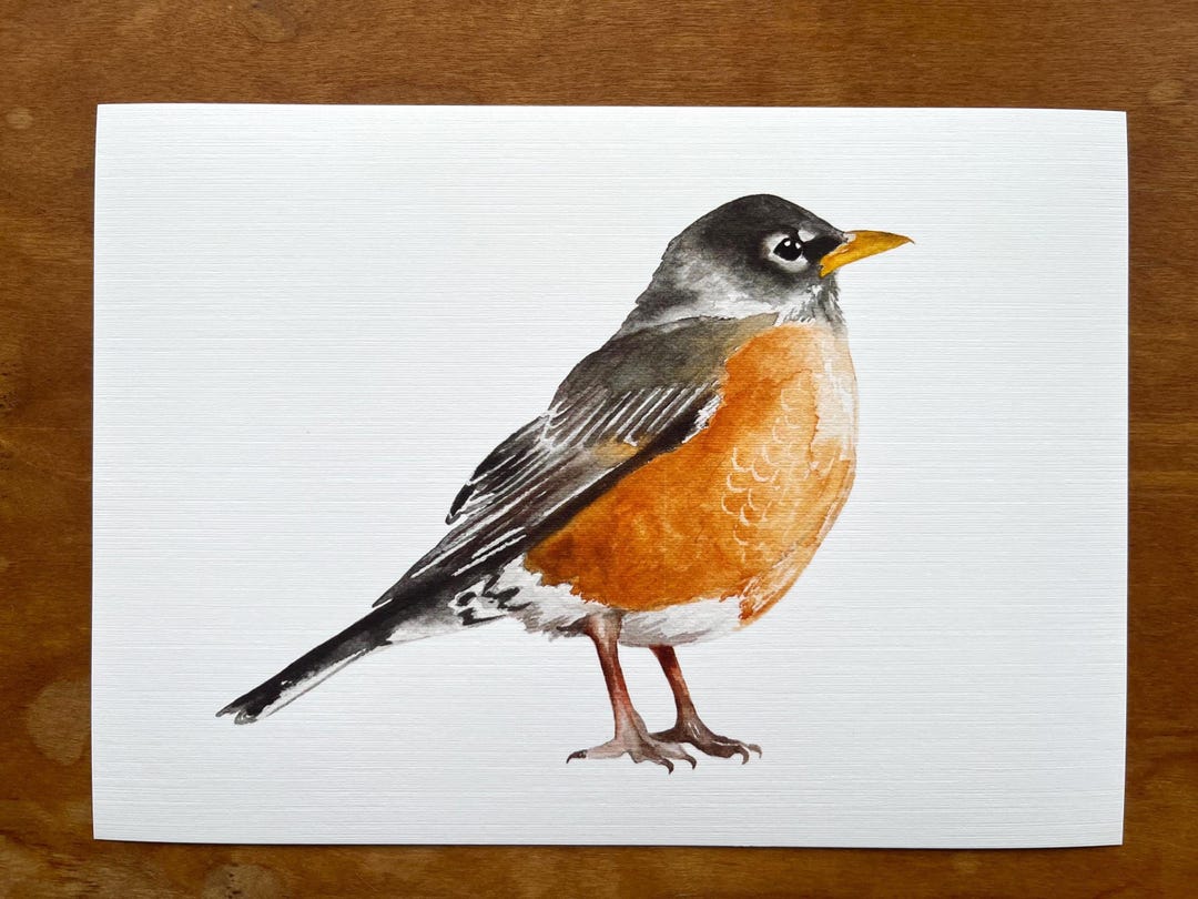 Robin Bird Art|watercolor Painting|bird Lovers|gift|wall Art|giclee ...