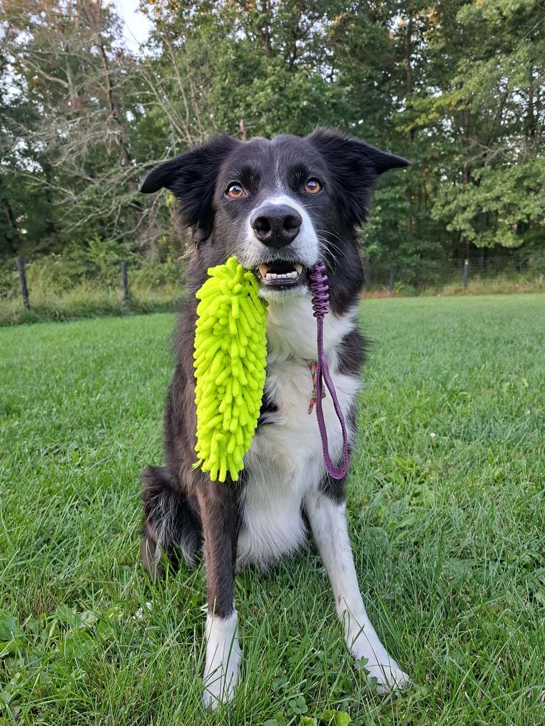 Mopey Bungee Tug - Etsy