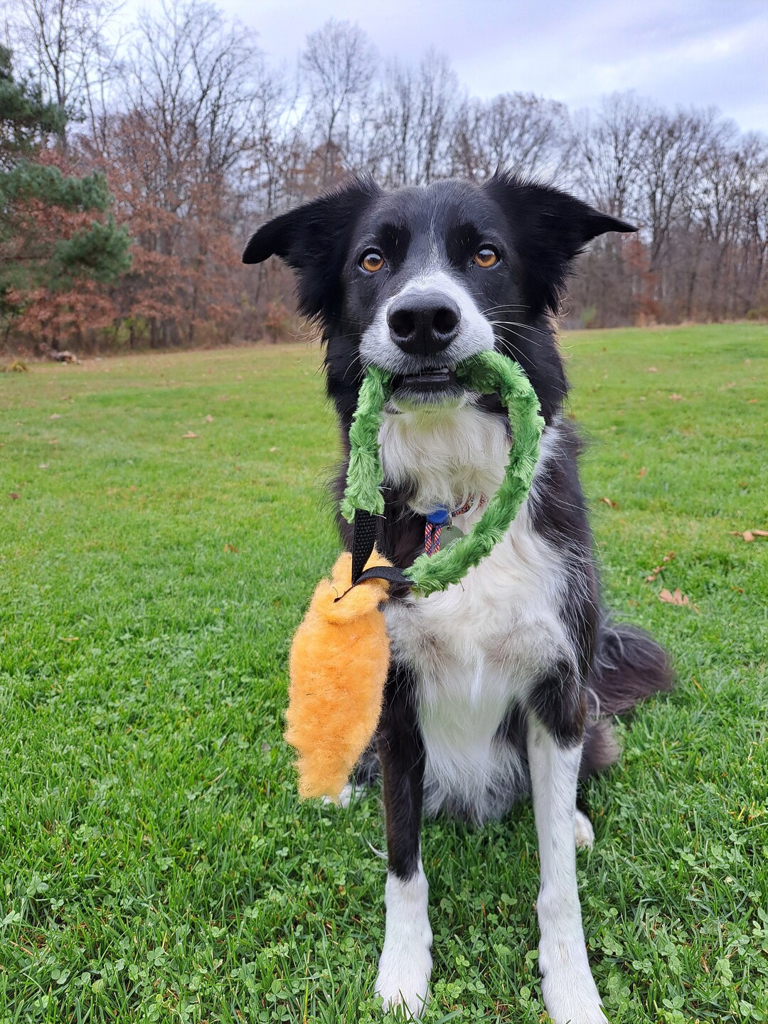 Pocket Sheep Bait Bag - Etsy