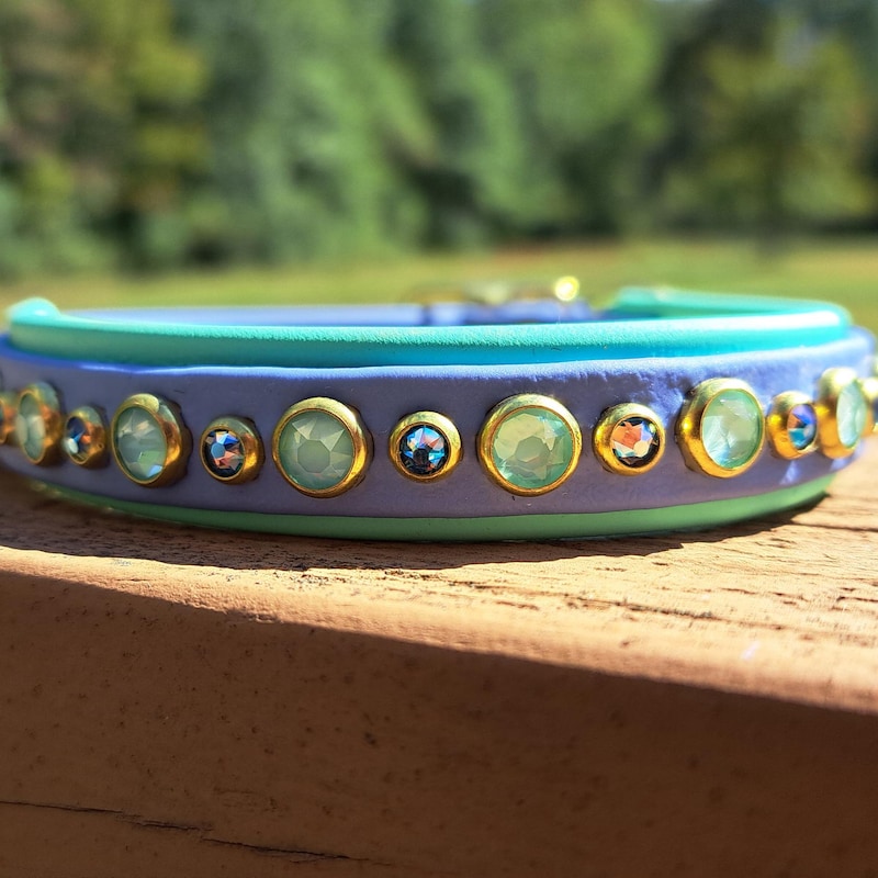 Biothane Periwinkle - Etsy