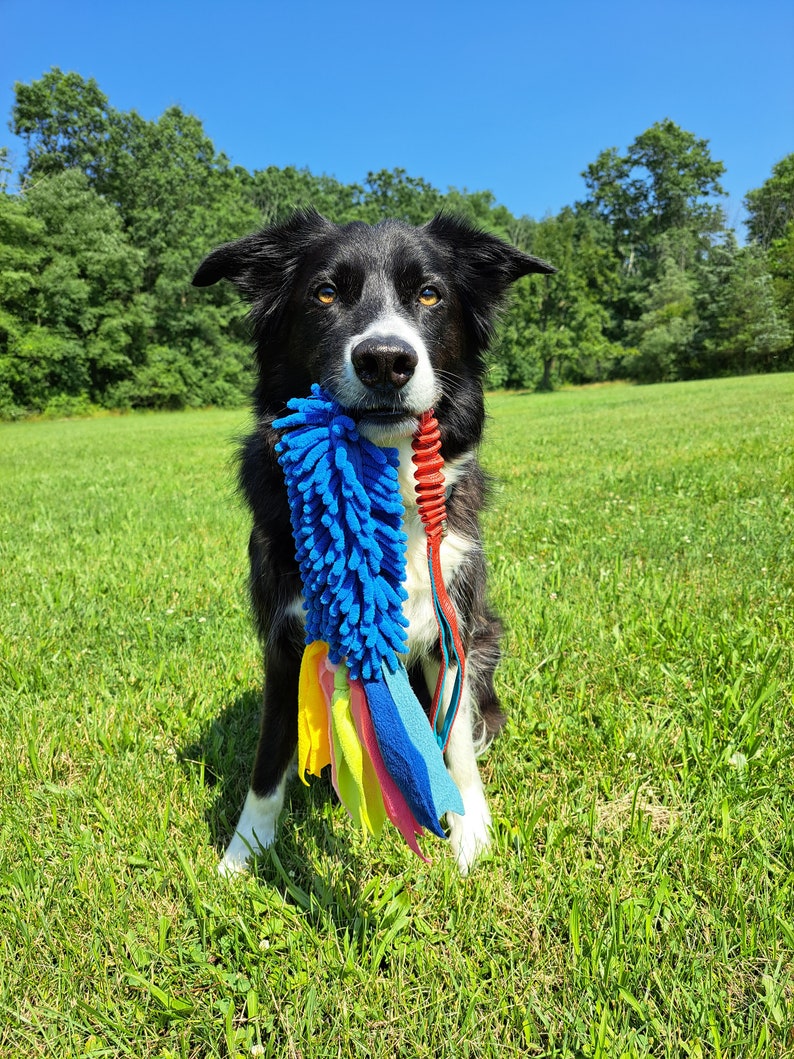 Mopey Fringe Bungee Tug - Etsy