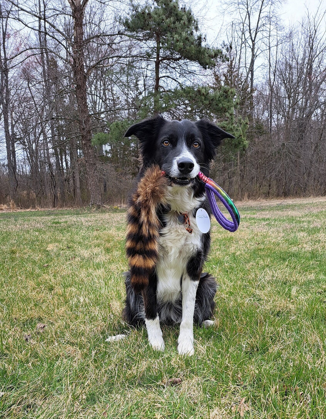 Rascal Tail Tug - Etsy