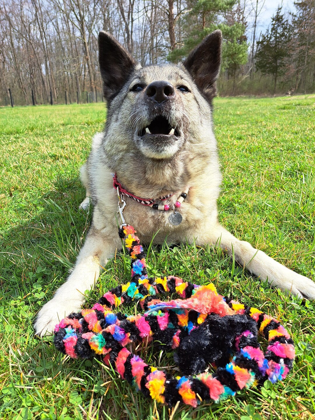 CUSTOM Minky/furry Leash - Etsy