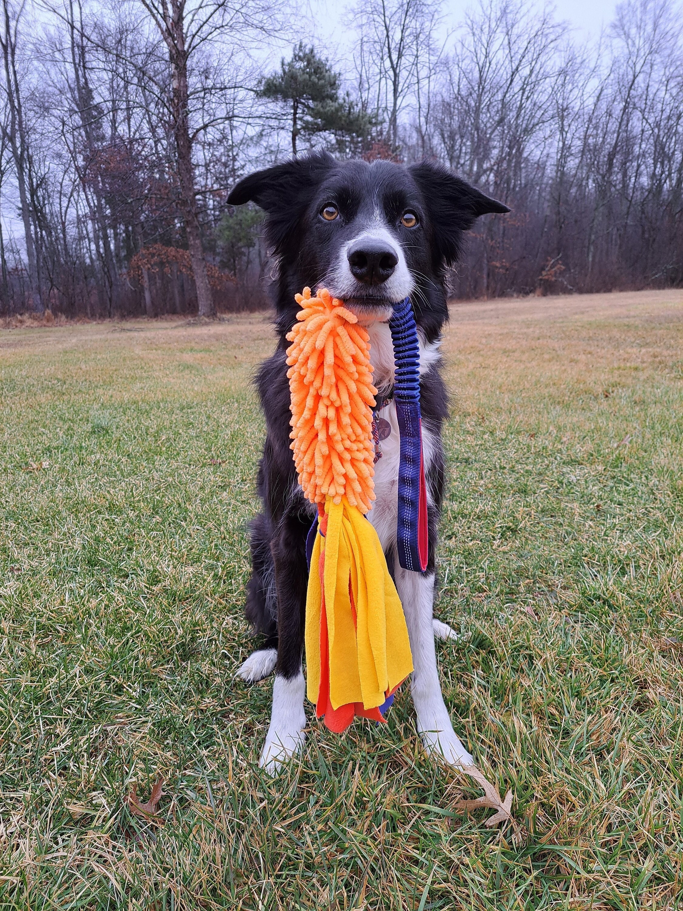 Mopey Fringe Bungee Tug - Etsy