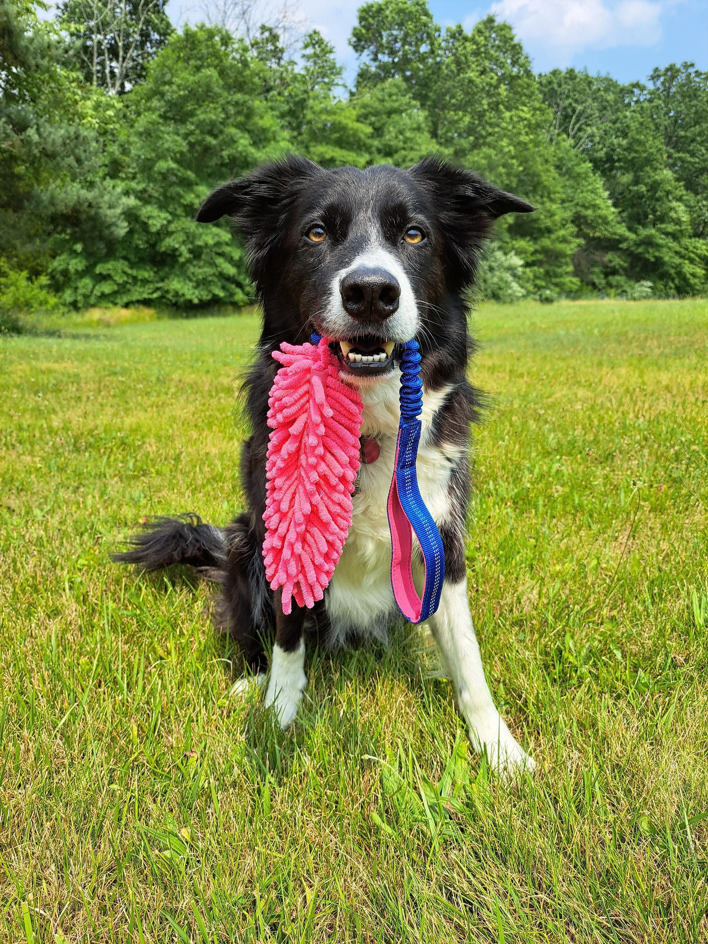 Mopey Bungee Tug - Etsy
