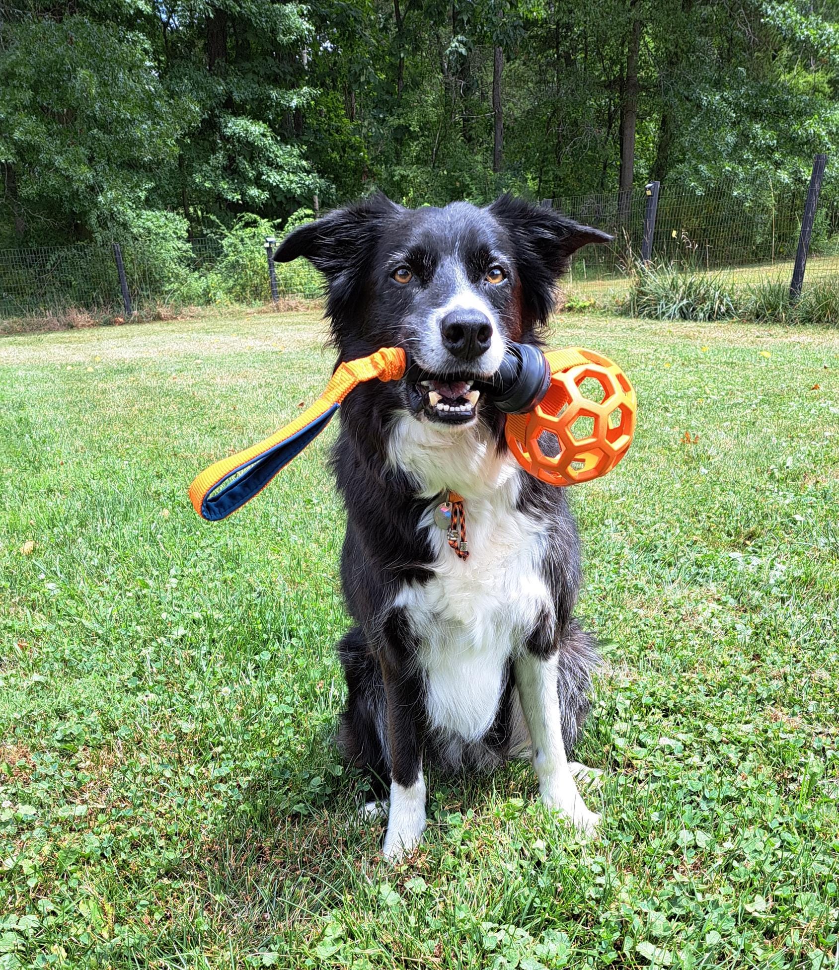 Big Dog Udder Rebound - Etsy