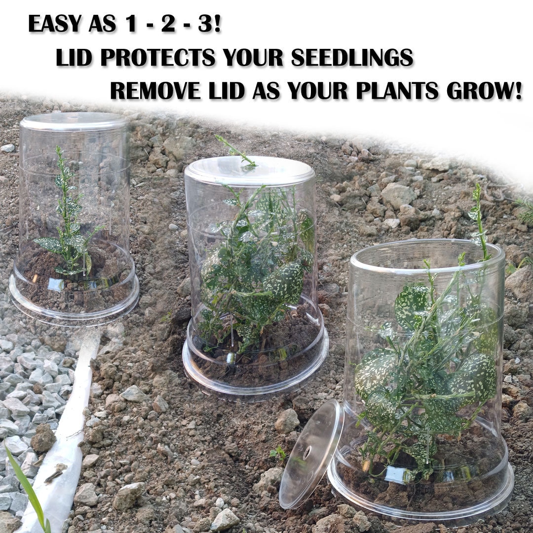5 Pack - Worlds Best Garden Plant Protector Cloche With Removable Lid ...