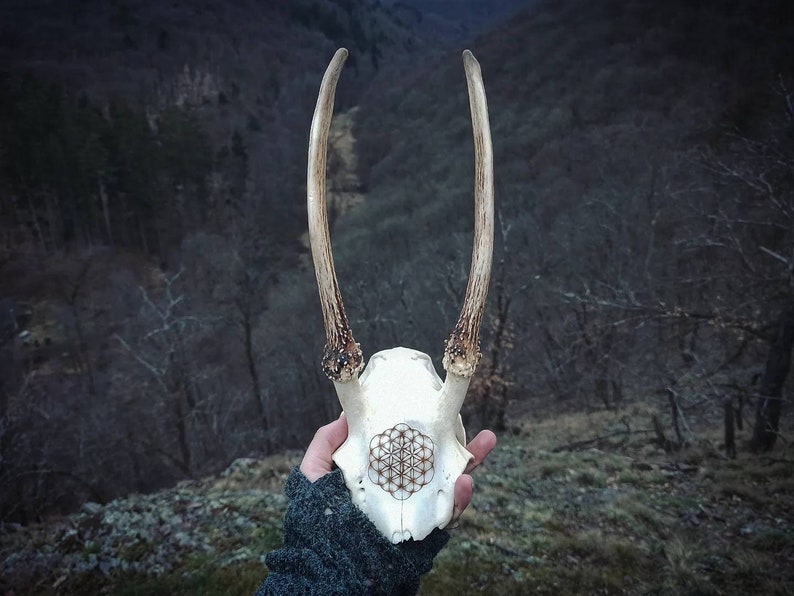 Sacred Geometry, Red Deer Skull Pyrography Art, Wall/altar Decor - Etsy