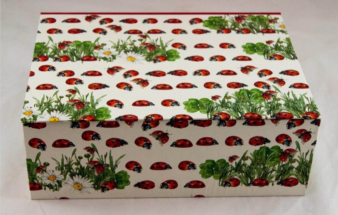 Box With Hinged Lid Customizable LADYBUG - Etsy