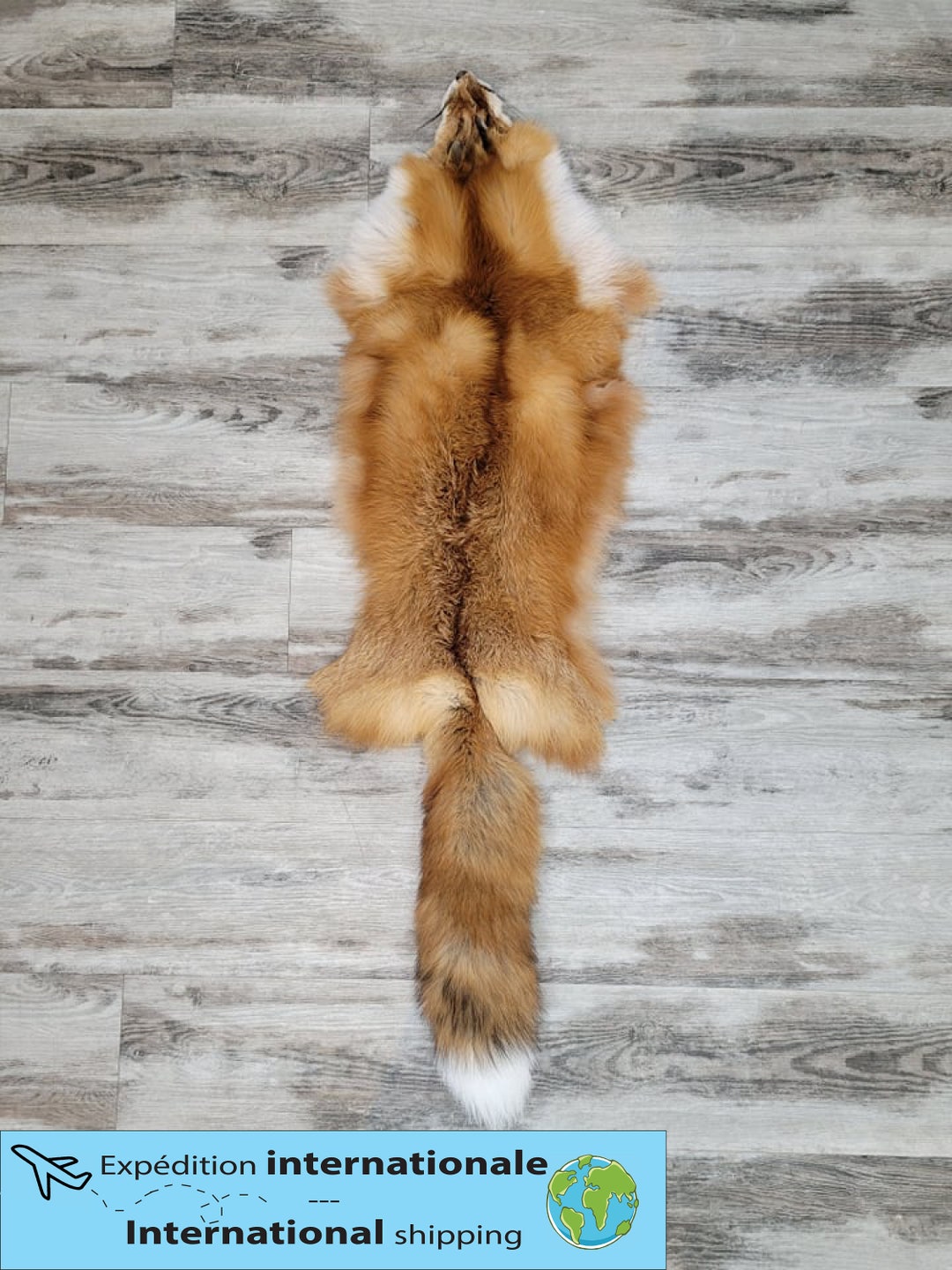 Forest Red Fox Skin / Wild Red Fox Skin - Etsy Canada