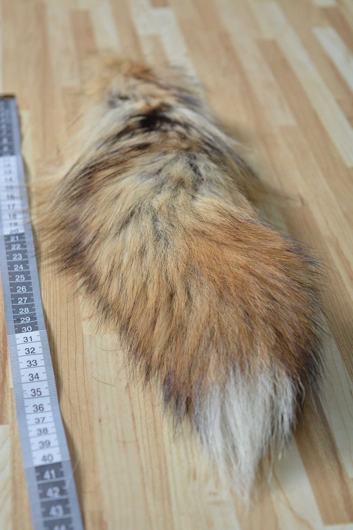 Coyote Tail / Coyote Tail - Etsy UK