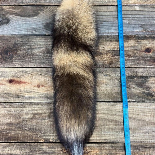Real Fox Tail Fox Tail Fox Tails Red Fox Red Fox Tail Fox | Etsy