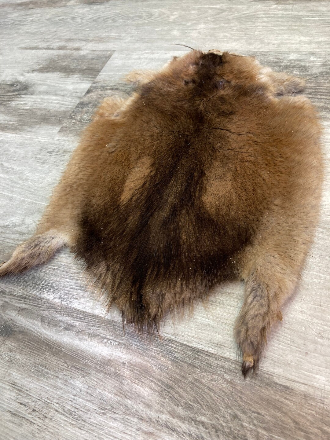 Muskrat Skin With Bald Spots - Etsy UK