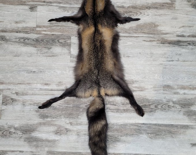 Mounted Fox (trophy) - Etsy