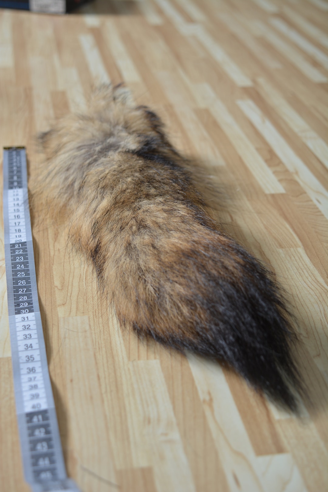 Real Coyote Tail - Etsy