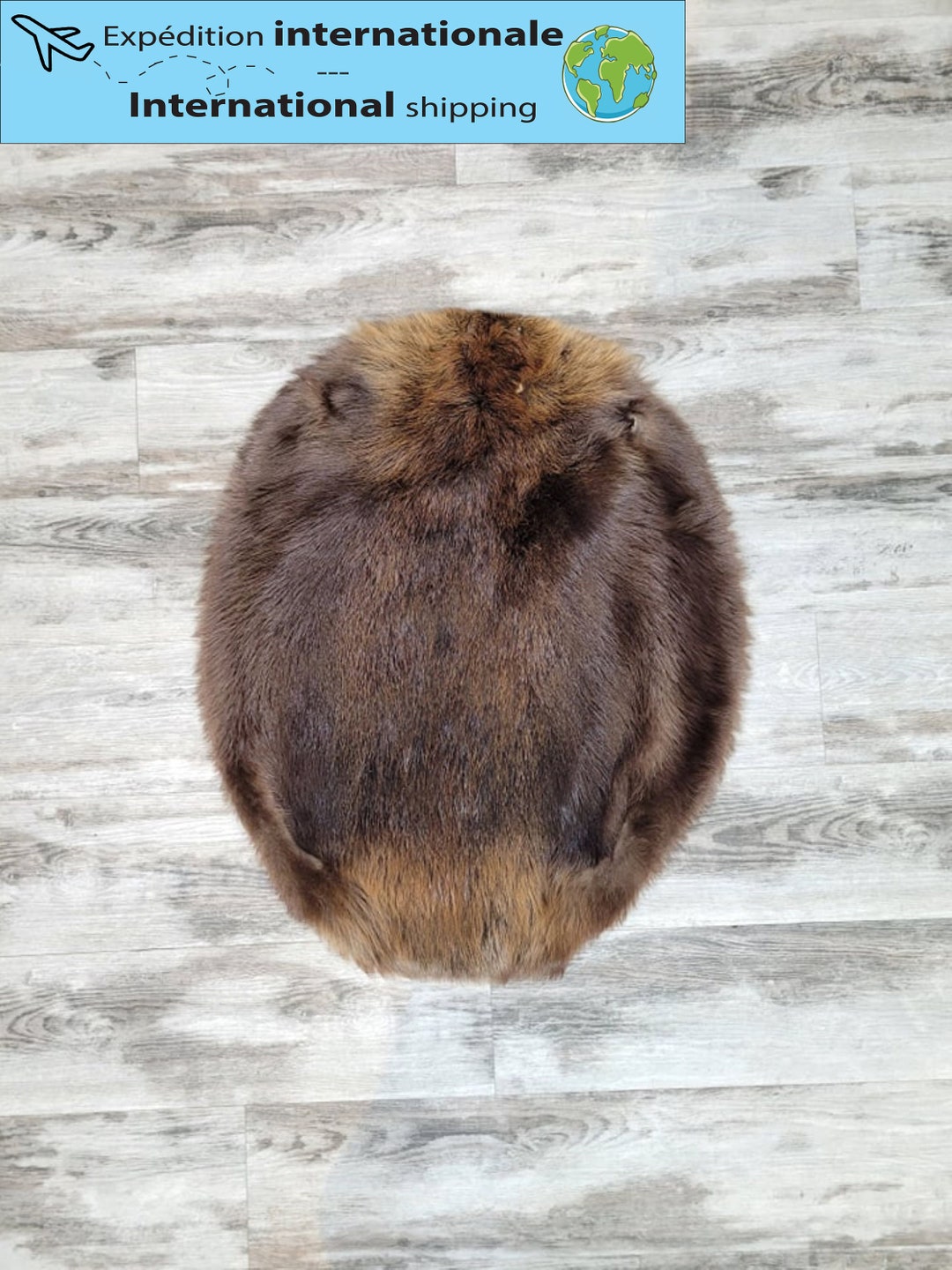 Round Beaver Skin - Etsy