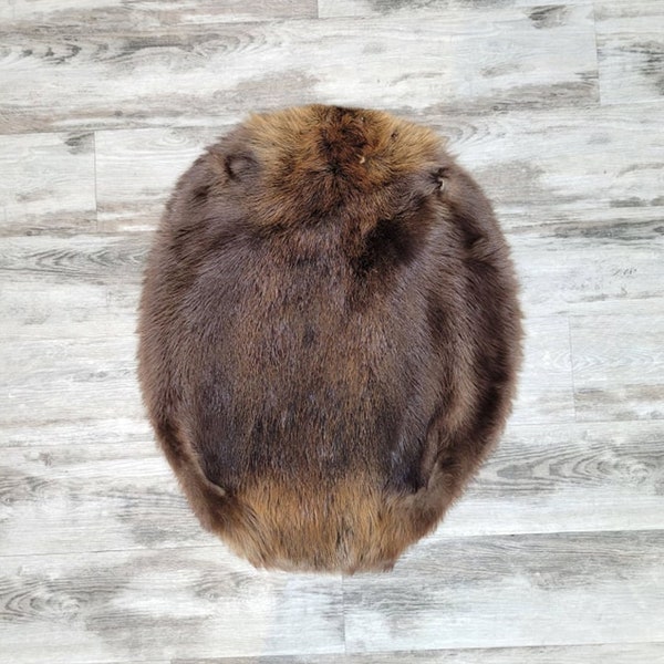 Beaver Skin Hat - Etsy
