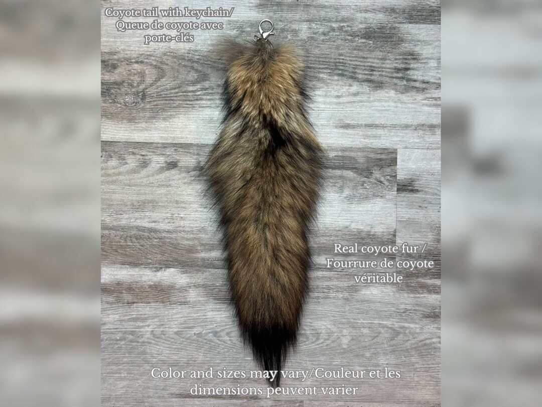 Coyote Tail With Keychain - Etsy Canada