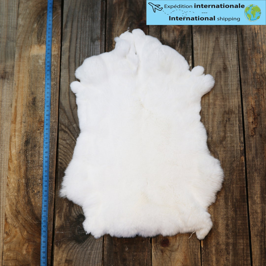 Rex Rabbit Skin / Rex Rabbit Skin - Etsy