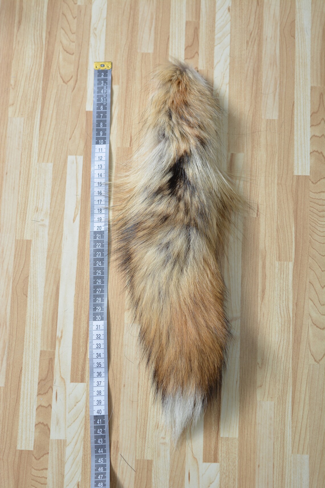 Coyote Tail / Coyote Tail - Etsy UK