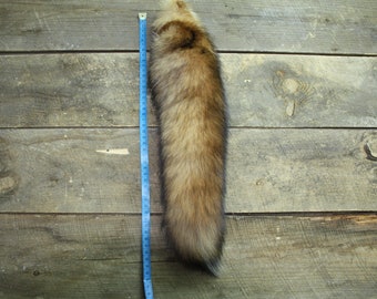 Real Fox Tail Fox Tail Fox Tails Red Fox Red Fox Tail Fox | Etsy
