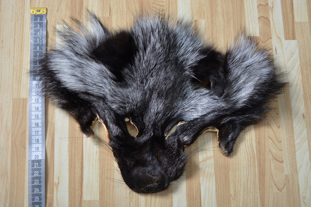 Silver Fox Head - Etsy