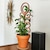 Ladder Arch Indoor Plant Trellis (3 Sizes for 2-6" Pots) | Mini & Small ...