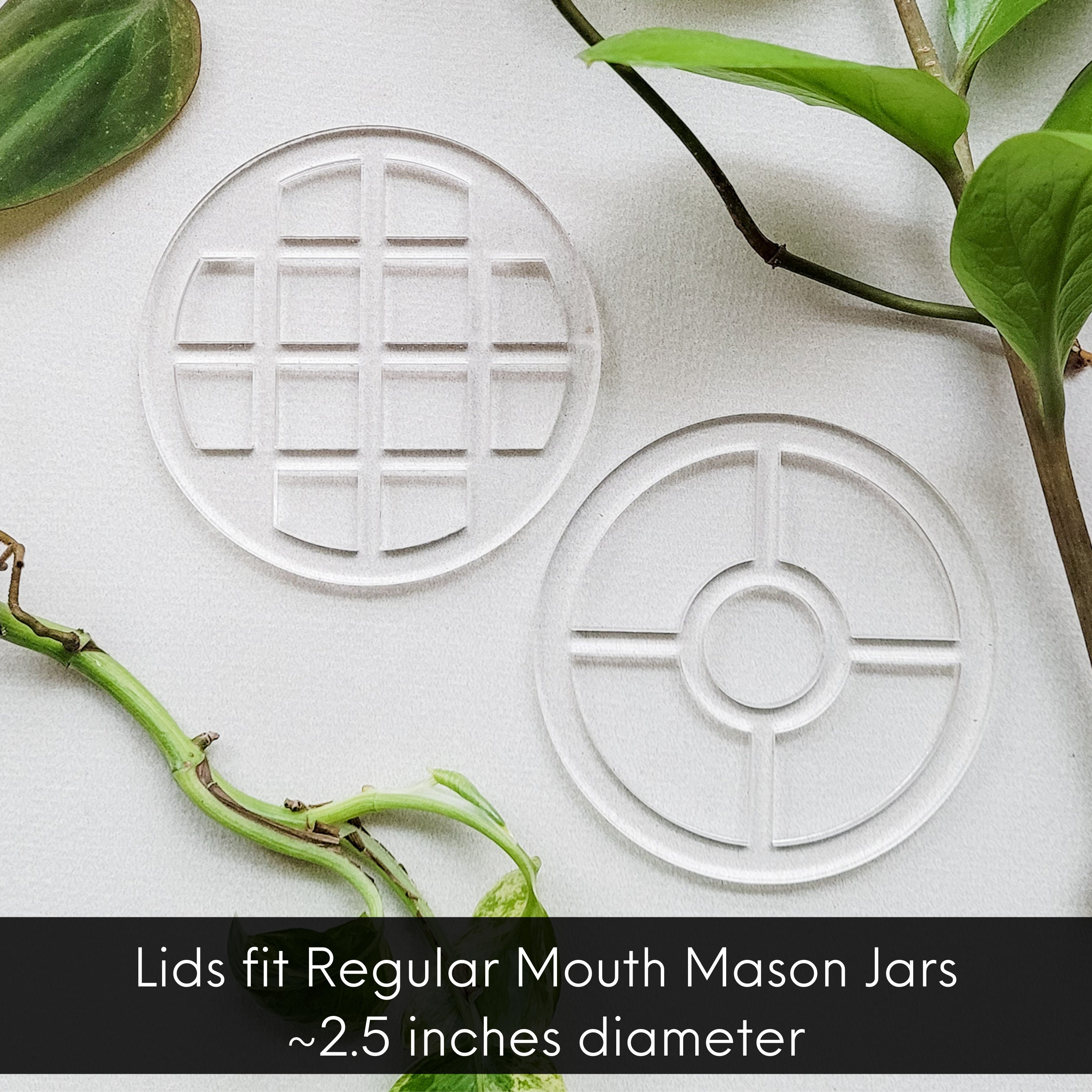 Mason Jar Plant Propagation frog Lid Inserts - Etsy Canada