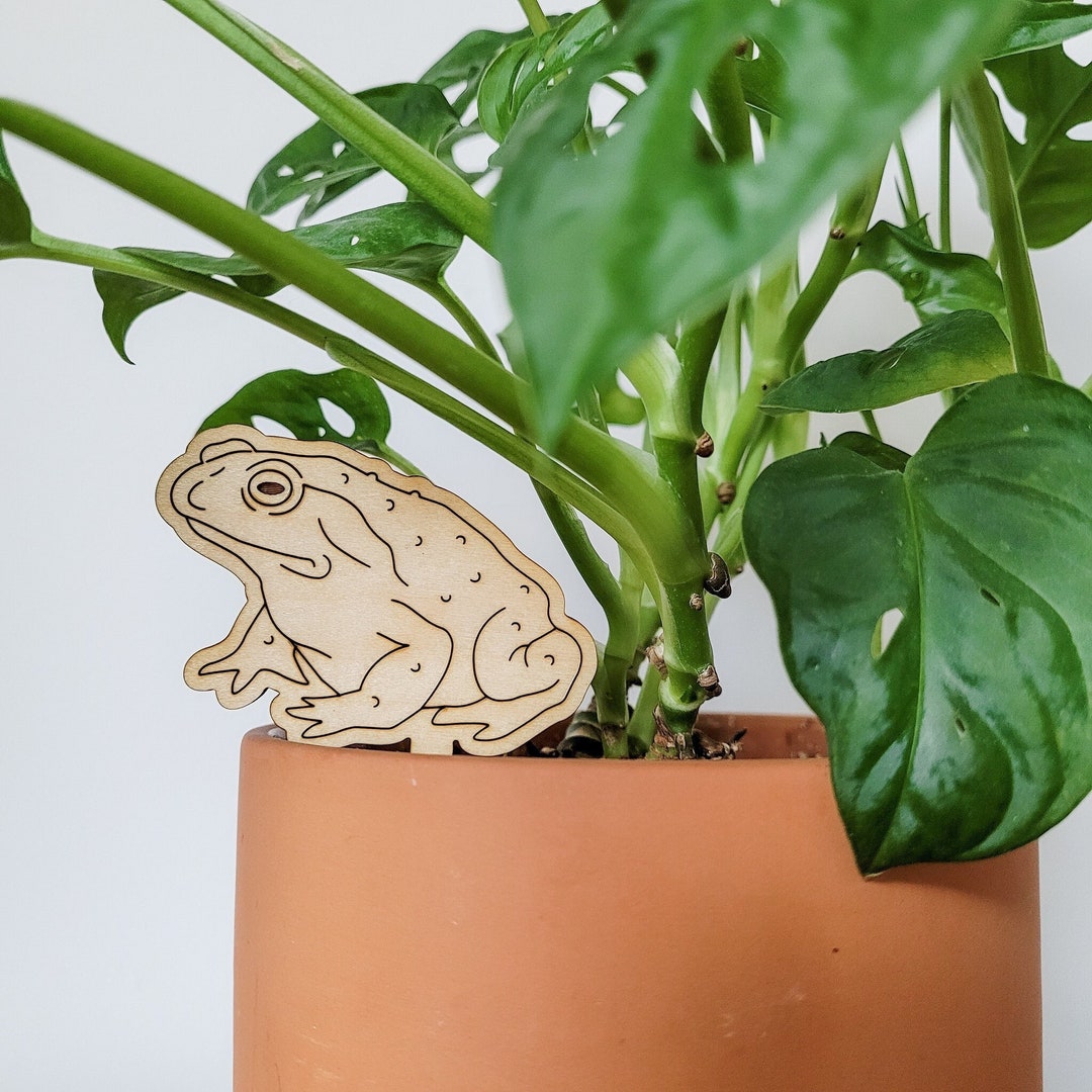 Toad Decorative Plant Stake (2 Sizes) - Frog Plant Pick - Indoor ...