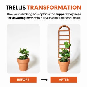 Ladder Arch Indoor Plant Trellis (3 Sizes for 2-6" Pots) | Mini & Small ...