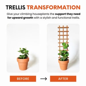 Ladder Indoor Plant Trellis (3 Sizes for 2-6" Pots) | Mini & Small Wood ...