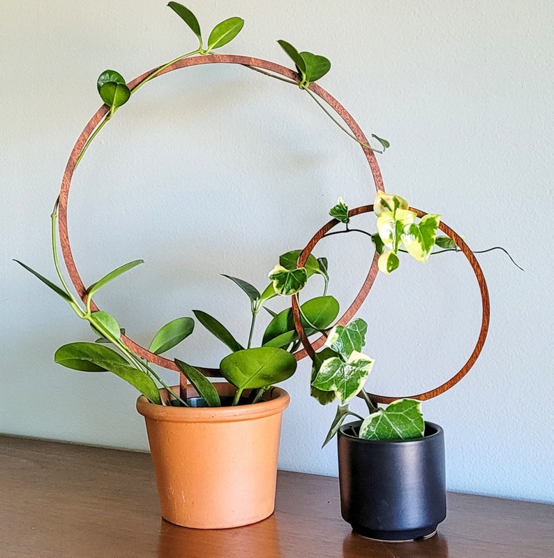 Hoop Wood Trellis 4 Sizes Round Houseplant Trellis | Etsy