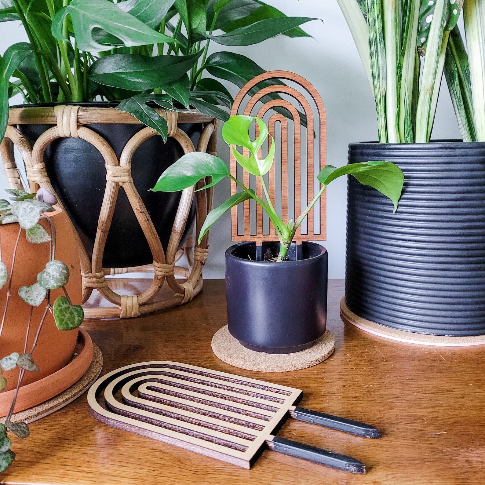 Modern Boho Rainbow Indoor Plant Trellis 2 Sizes Mini & - Etsy