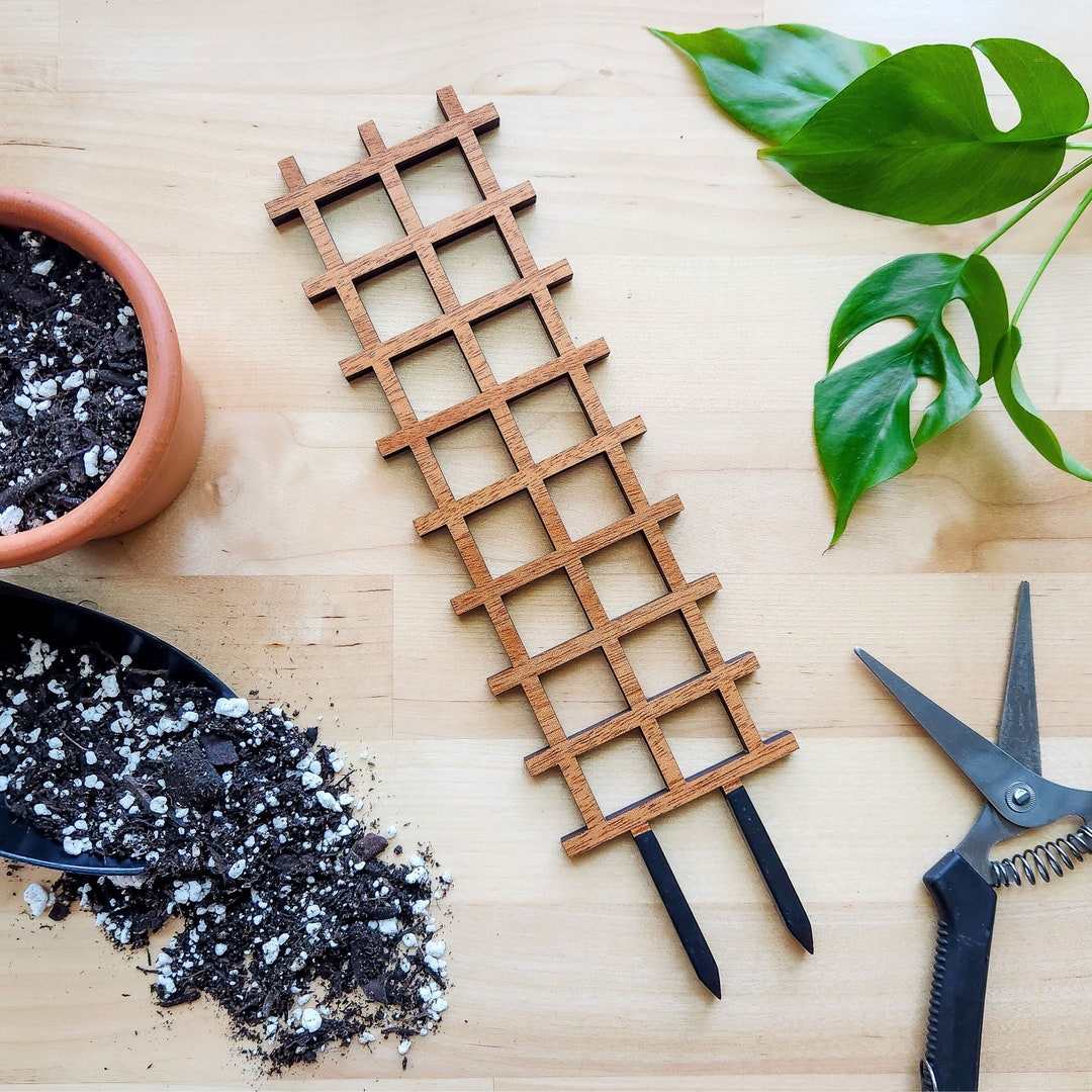 Ladder Indoor Plant Trellis (3 Sizes for 2-6" Pots) | Mini & Small Wood ...