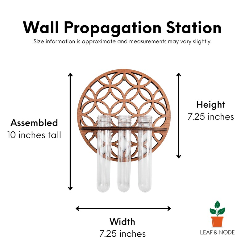 Wall Propagation Station - 3 Test Tube Hydroponic Holder for ...