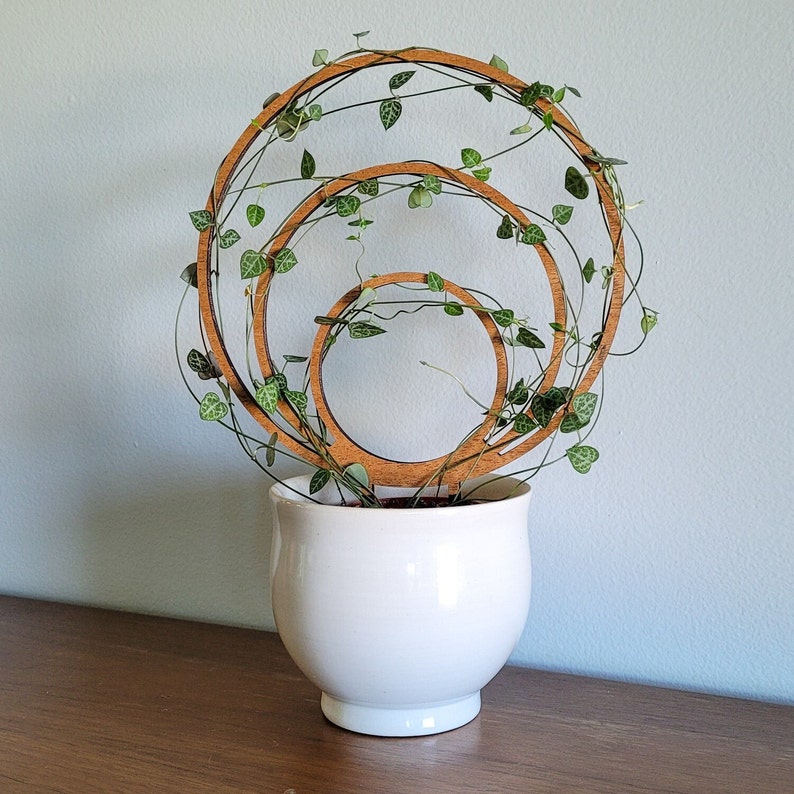 Triple Hoop Houseplant Trellis 2 Sizes Wooden Round - Etsy
