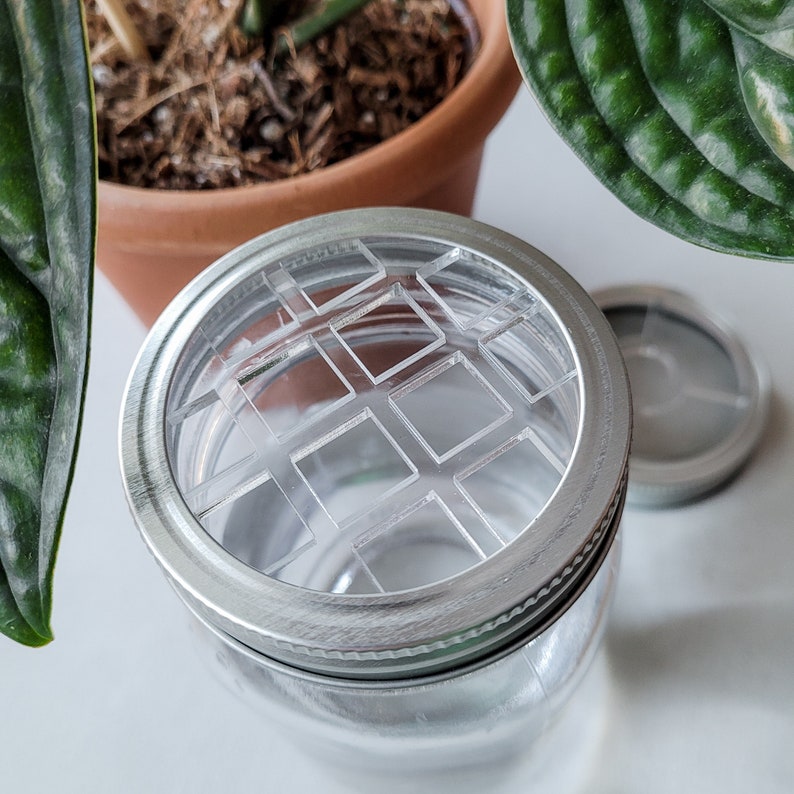 Mason Jar Plant Propagation frog Lid Inserts | Etsy