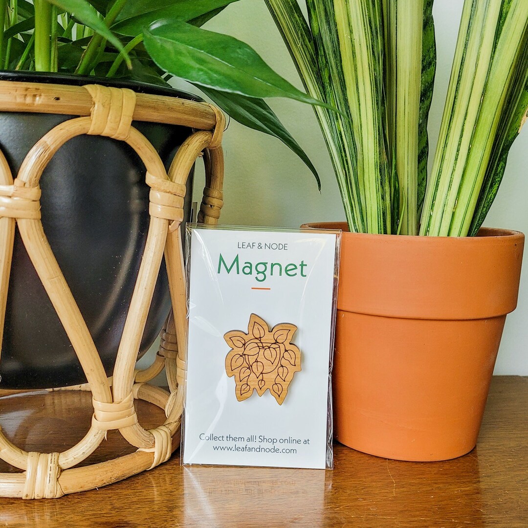 Hanging Potted Plant Magnet - Pothos or Heart Leaf Philodendron ...