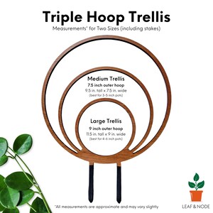 Triple Hoop Houseplant Trellis (2 Sizes) | Wooden Round, Endless Circle ...