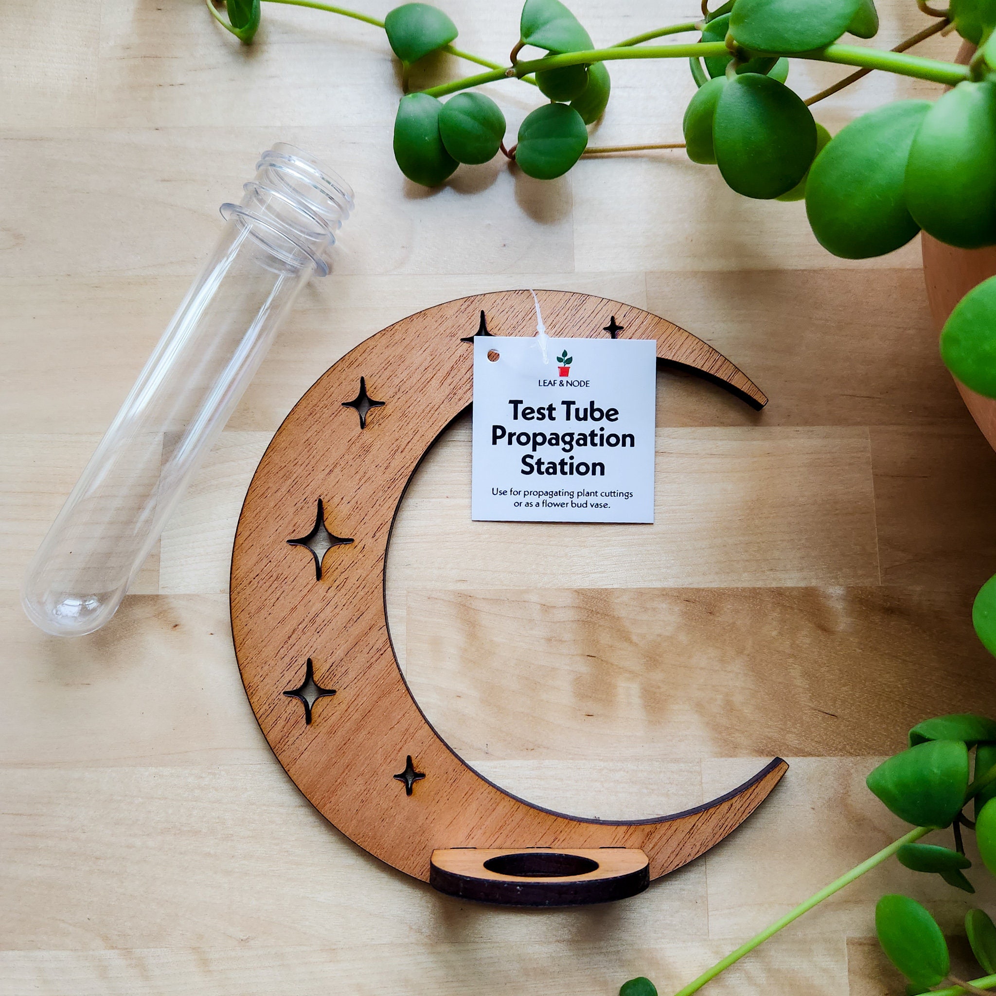 Wall Propagation Station - Crescent Moon & Stars - Hydroponic Test Tube ...
