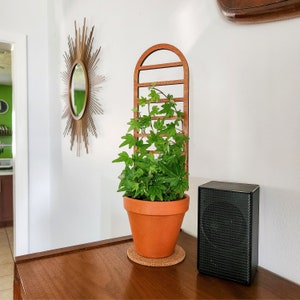 Ladder Arch Indoor Plant Trellis (3 Sizes for 2-6" Pots) | Mini & Small ...
