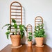 Ladder Arch Indoor Plant Trellis 3 Sizes for 2-6 Pots Mini & Small Wood ...