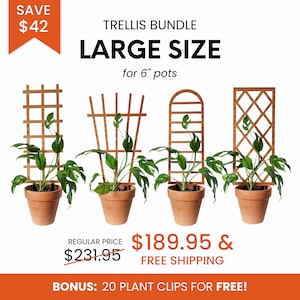 Bundle of 4 Indoor Plant Trellises (3 Sizes for 2-6" Pots) | Mini ...