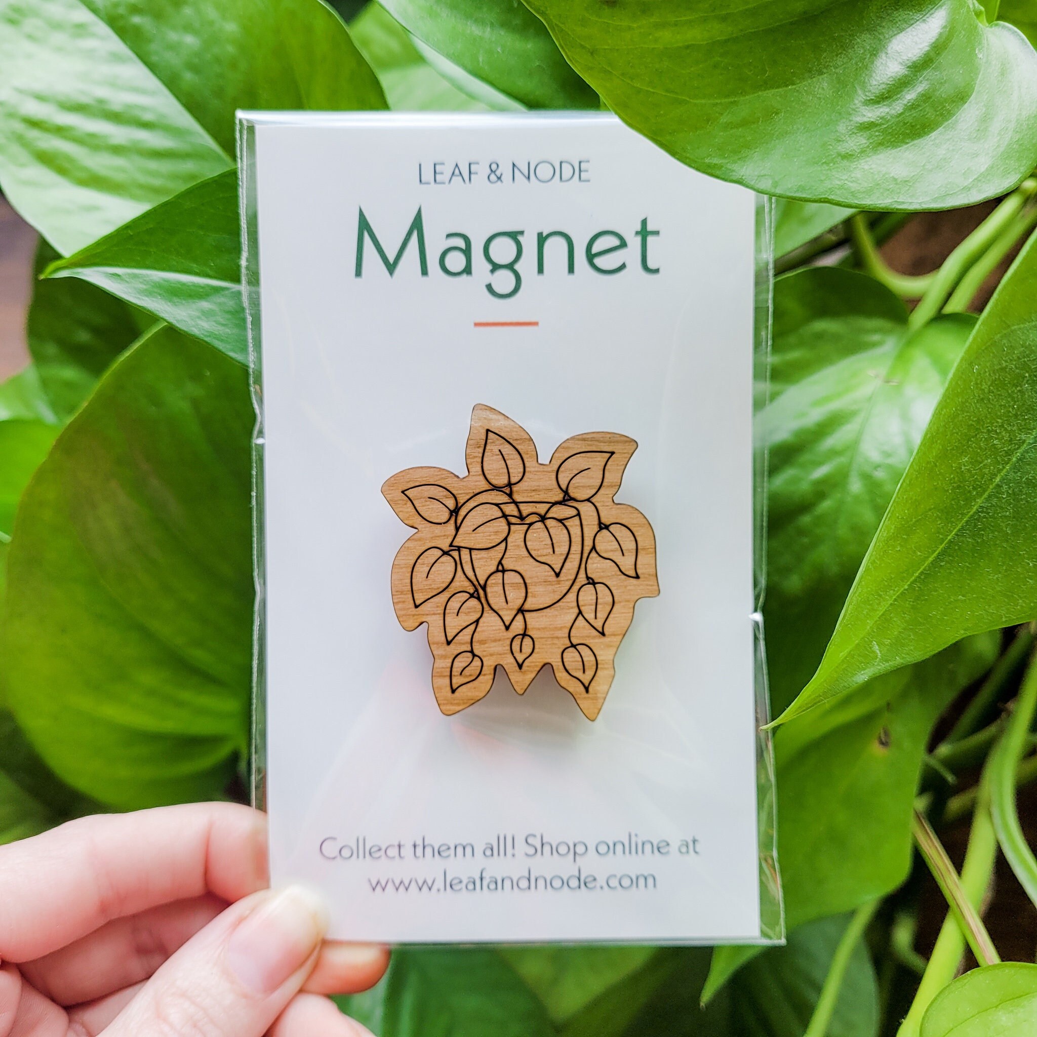 Hanging Potted Plant Magnet Pothos or Heart Leaf - Etsy