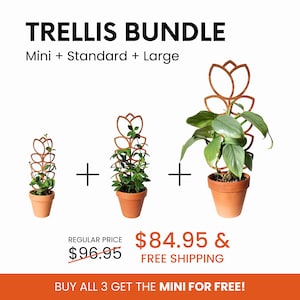 MCM Flower Indoor Plant Trellis (3 Sizes for 2-6" Pots) | Mini & Small ...