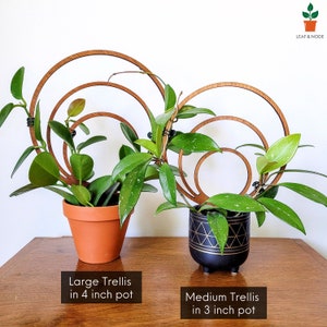 Triple Hoop Houseplant Trellis (2 Sizes) | Wooden Round, Endless Circle ...