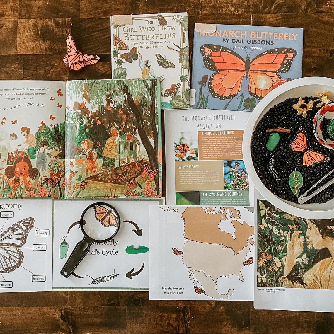 Monarch Butterfly Migration Mini Unit Study - Etsy