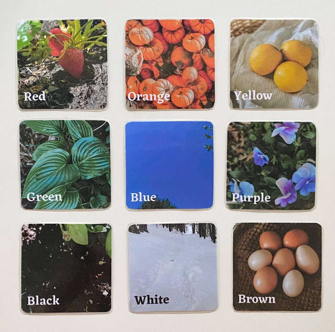 Colors of Nature Flash Cards - Etsy